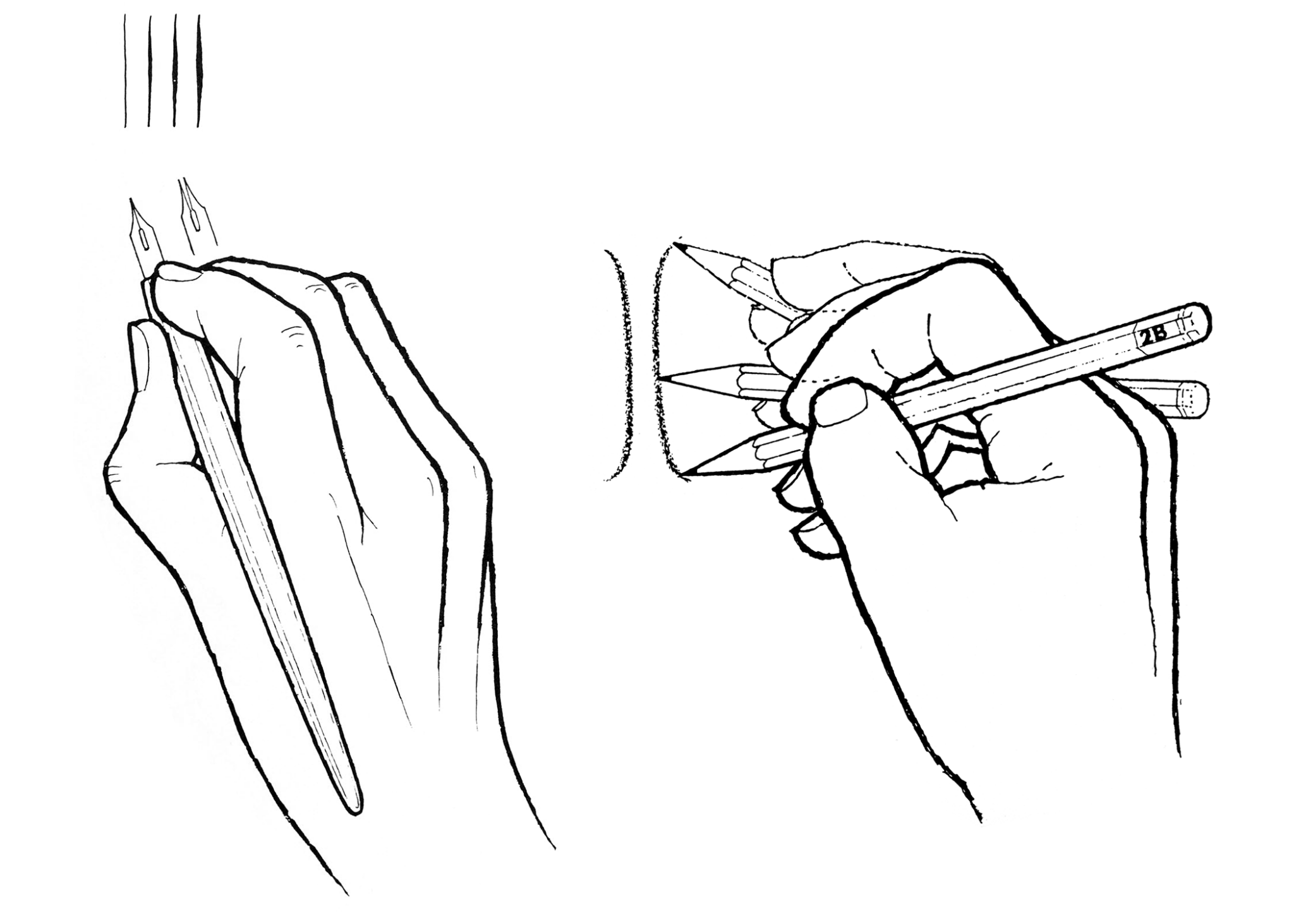 Calligraphy and Lettering | Letterform Archive